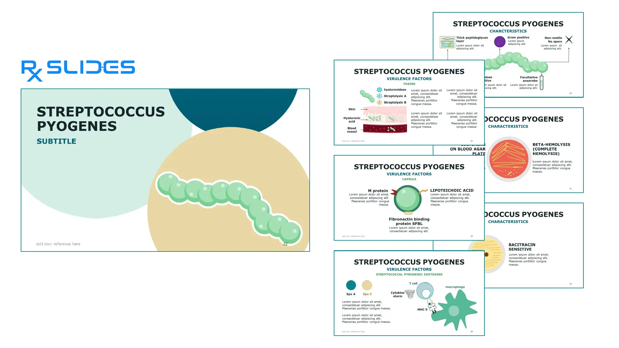 Download Bacteriology PowerPoint Template | RxSlides
